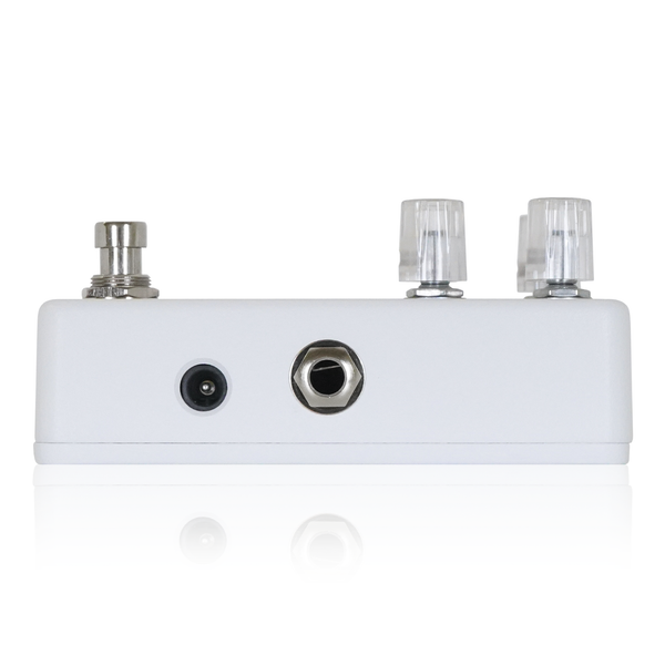 Custom Illustrated / SBOD 数分間のエールを 中川 萠美 #2 – Animals Pedal